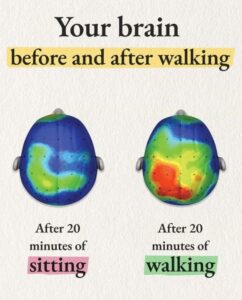 The Science Behind Why Walking is Good for Us - AIM